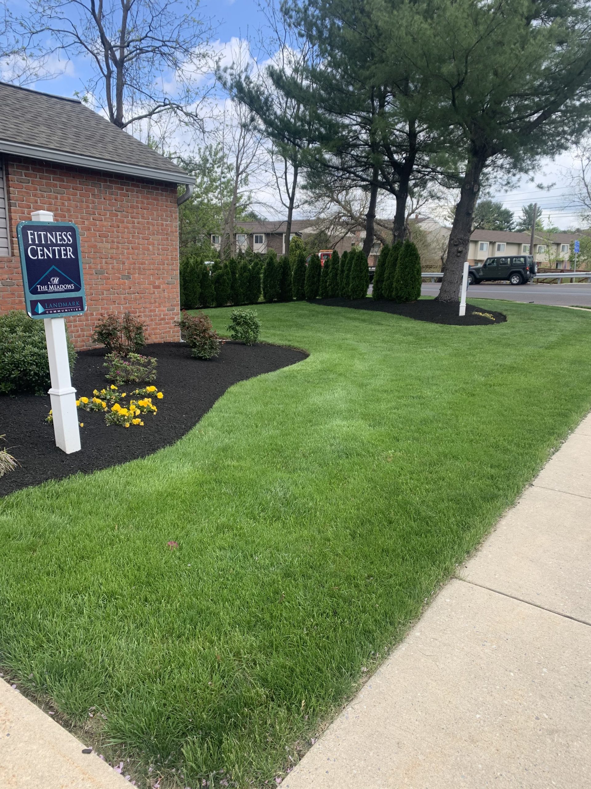 Turf Treatment Services | Saylor's Lawn & Landscape